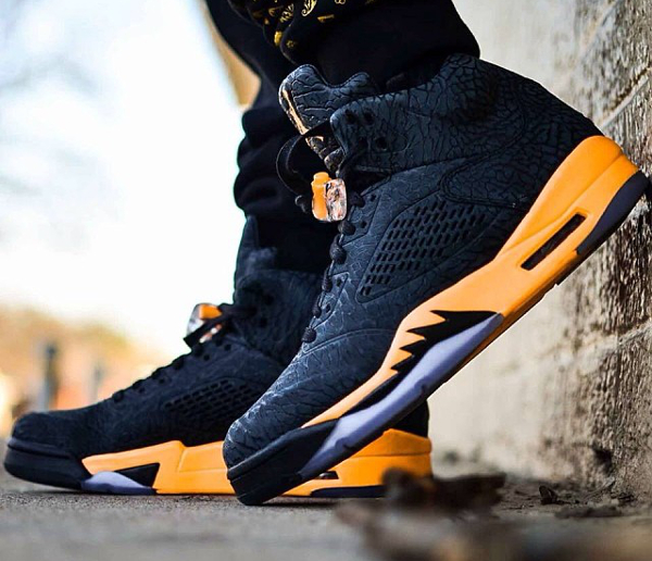 Une Air Jordan 5 3Lab5 customisée
