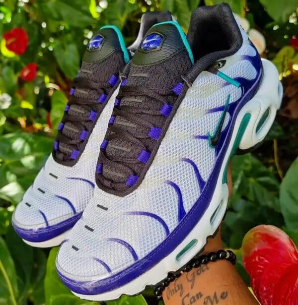 Nike Air Max Plus TN1 Grape Ice New Emerald DM0032-100