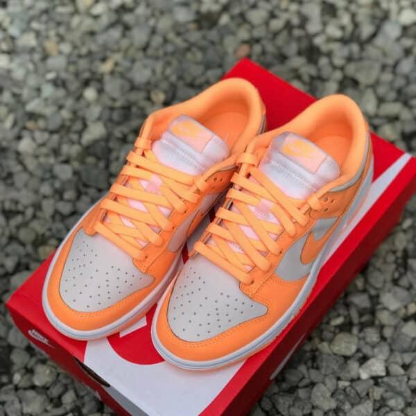 Nike Dunk Low Peach Cream Pastel Crème de pêche DD1503