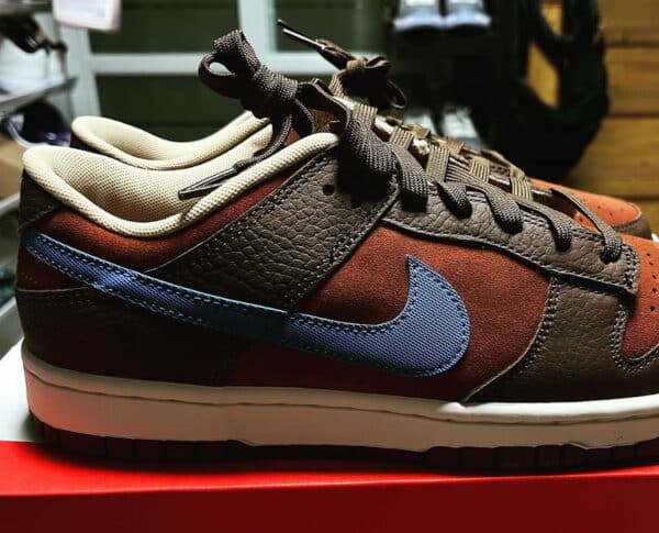 Nike Dunk Low Mars Stone Marron Rouge Oxyde DR9704-200