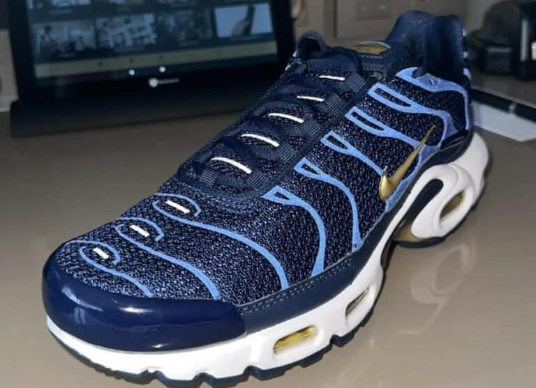 Nike Air Max Plus FFF TN1 Fédération Française de Football