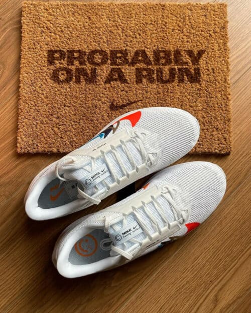 Nike Pegasus 40 Multi Swoosh 40th : notre avis FB7179-100