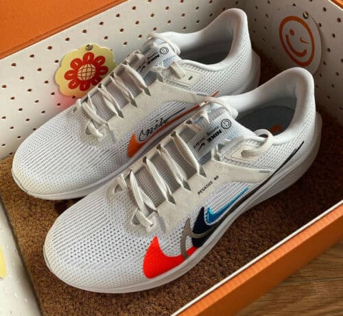 Nike Pegasus 40 Multi Swoosh 40th : notre avis FB7179-100