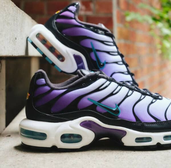 Nike Air Max Plus TN1 Disco Purple 'Reverse Grape' FQ2415-500