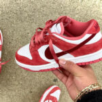 Que vaut Nike SB Dunk Low Strangelove Valentine's Day CT2552-800