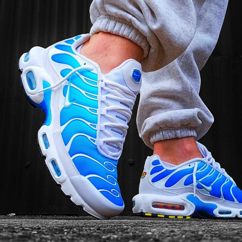 Que vaut la Nike Air Max Plus TN1 Battle Blue 2024