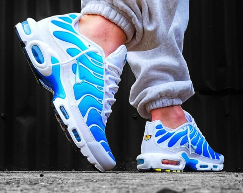 Que vaut la Nike Air Max Plus TN1 Battle Blue 2024