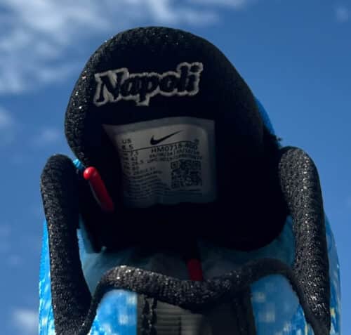 Nike Air Max Plus TN1 Napoli Pixel 2024 : où l'acheter