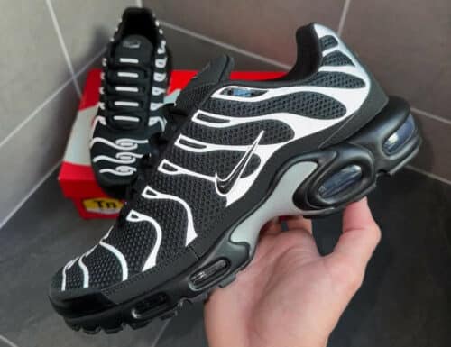 Les sorties Nike TN Air Max Plus 2025 : quelles sont les releases à venir