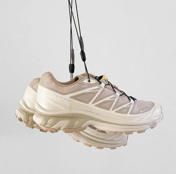 Guide d'achat : comment choisir une top Salomon XT-6 Gore Tex